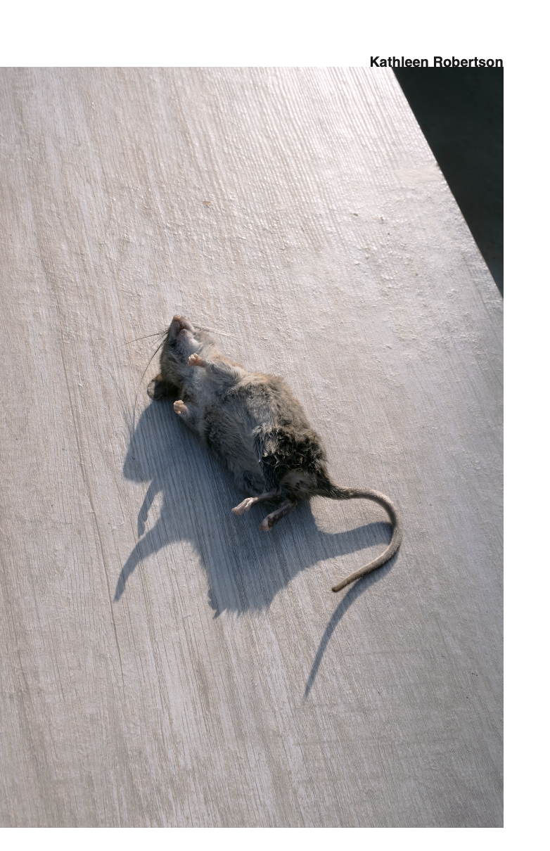 WXBC – Bard College Radio